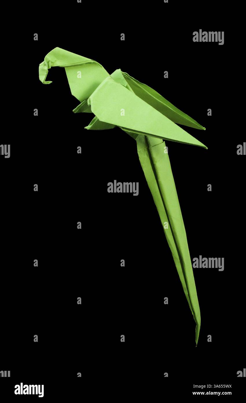 Paper made parrot black isolated. Folded origami style Stock Photo - Alamy