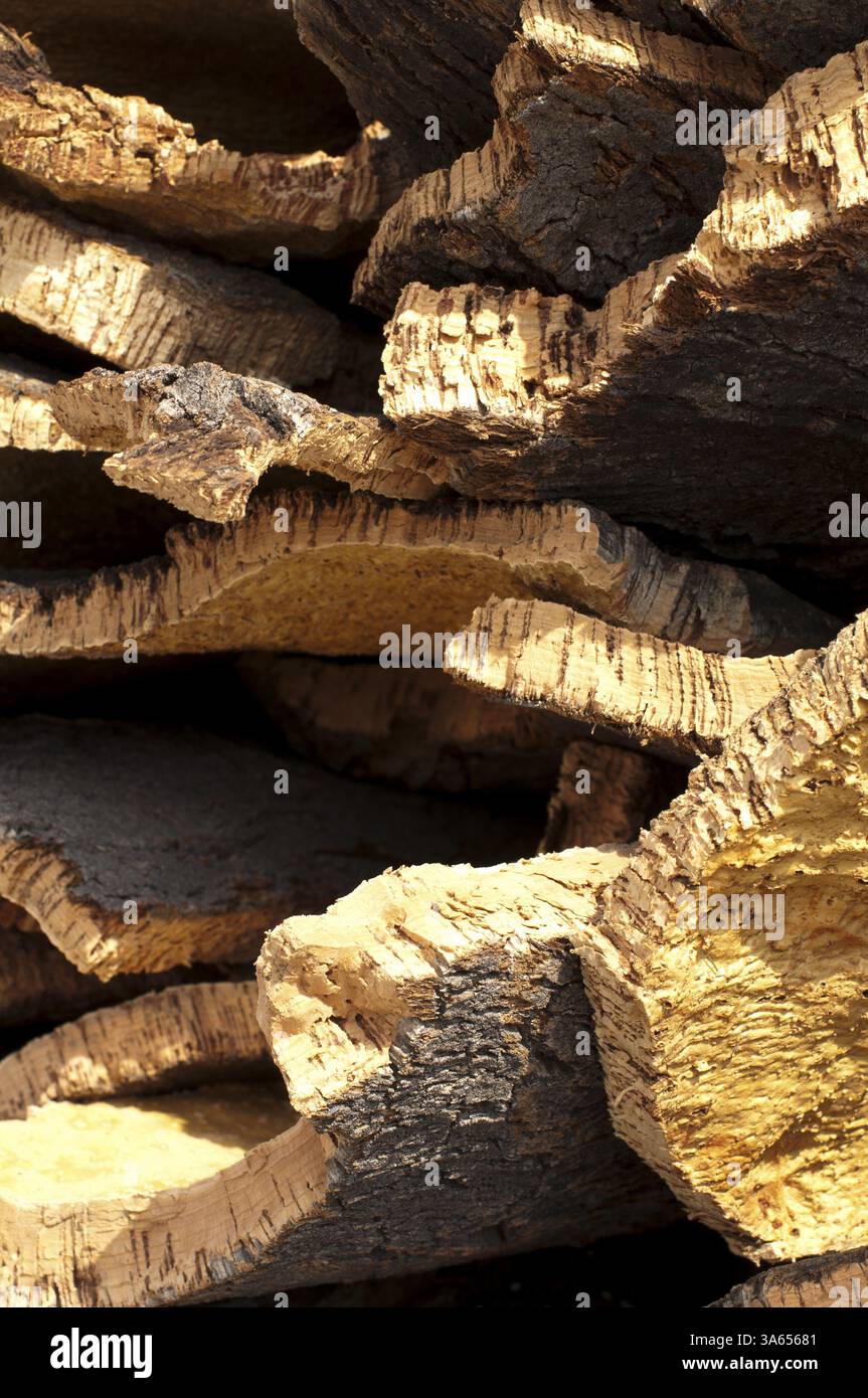 Cork crust. Natural piece of wood Stock Photo - Alamy
