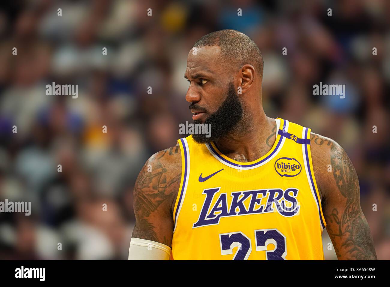 Lebron james lakers 2024 2025 hi-res stock photography and images - Alamy