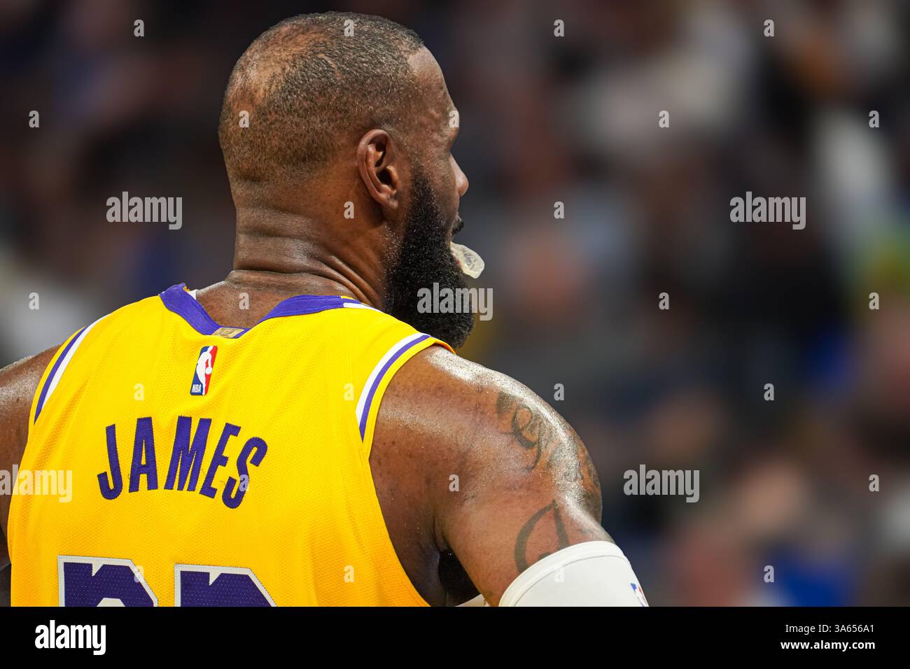 Lebron james lakers 2024 2025 hi-res stock photography and images - Alamy