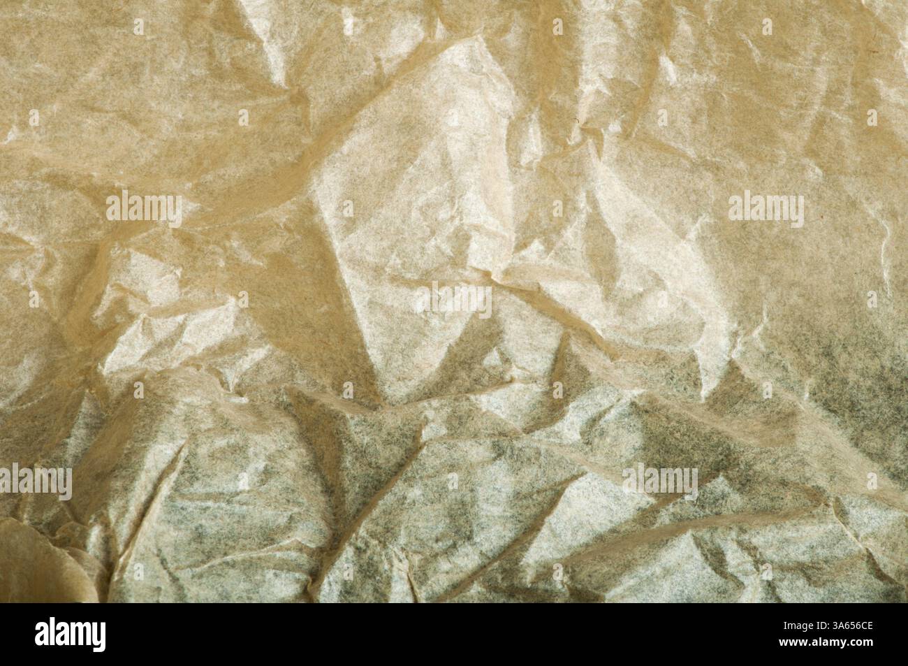Beige transparent paper background. Crumpled paper Stock Photo - Alamy