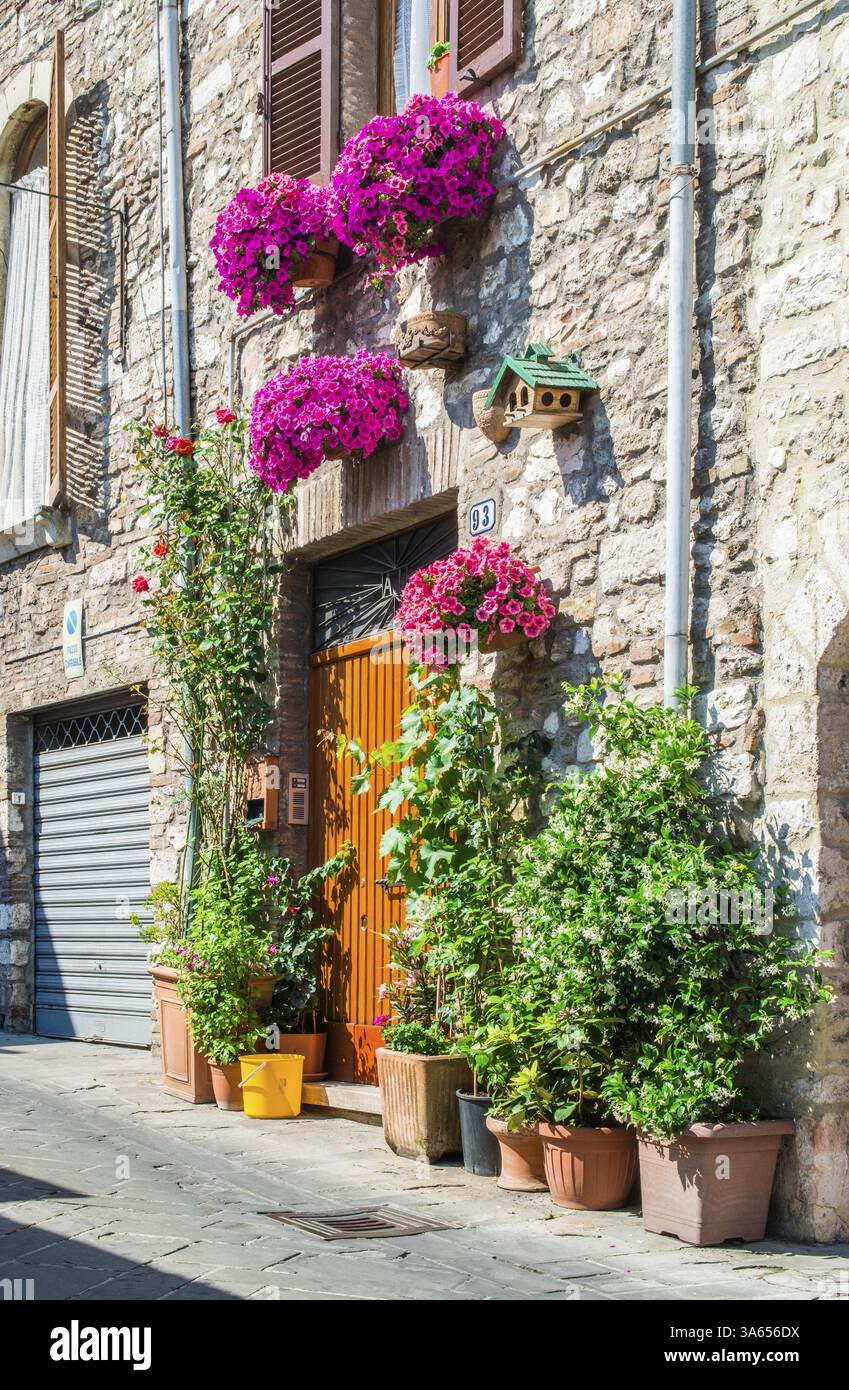 Italian typical houses. Stone buildings and flowers Stock Photo - Alamy