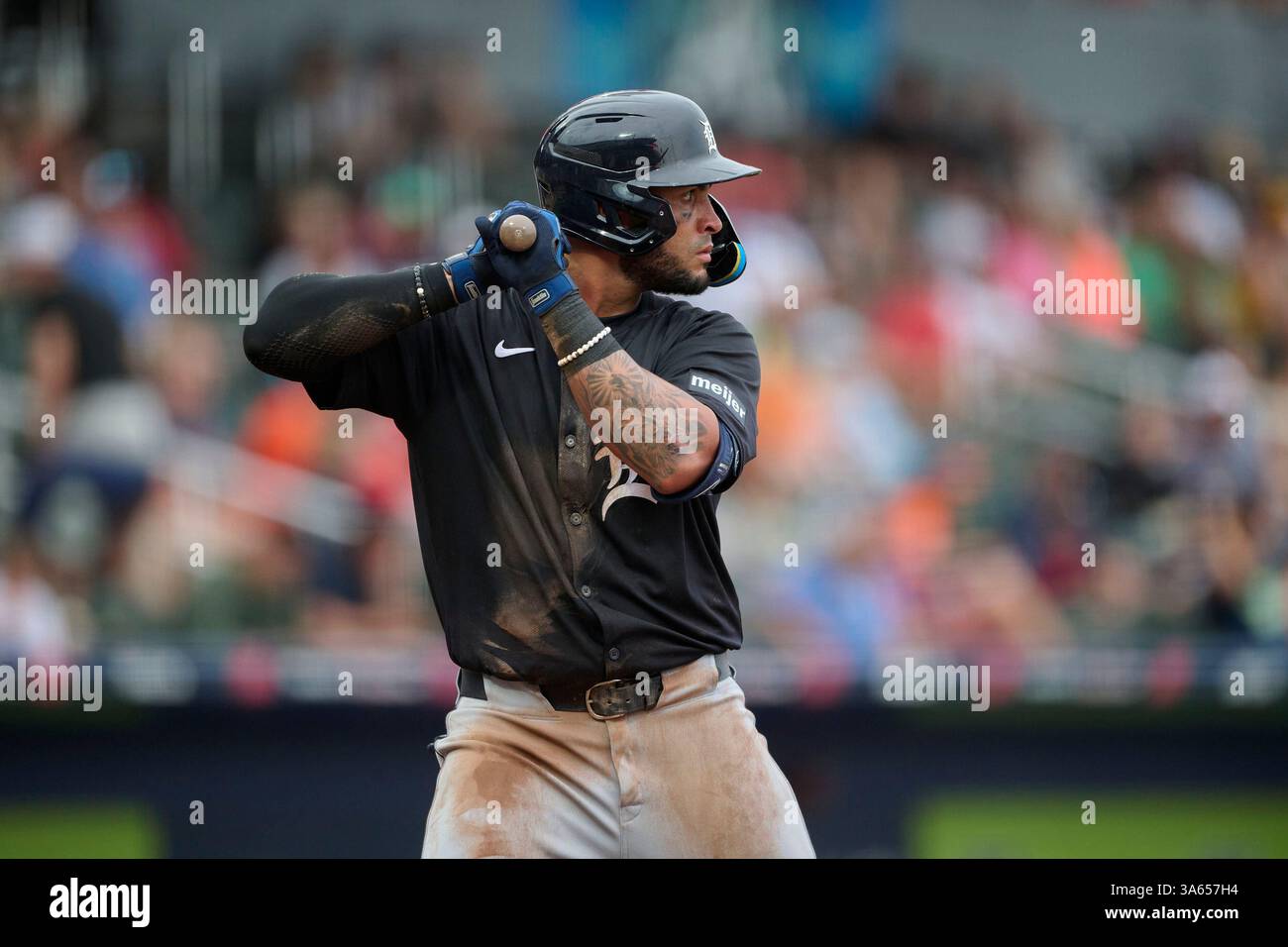 Detroit Tigers Roberto Campos (18) at bat during an MLB Spring Breakout ...