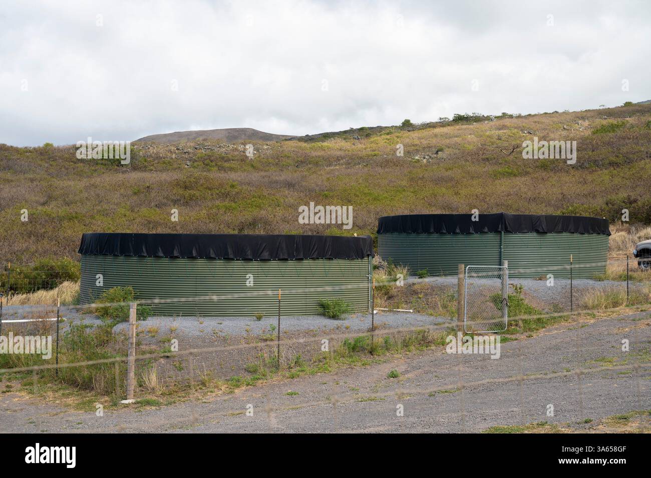 Water tanks sit at Kahikinui homestead on Sunday, July 7, 2024, in ...