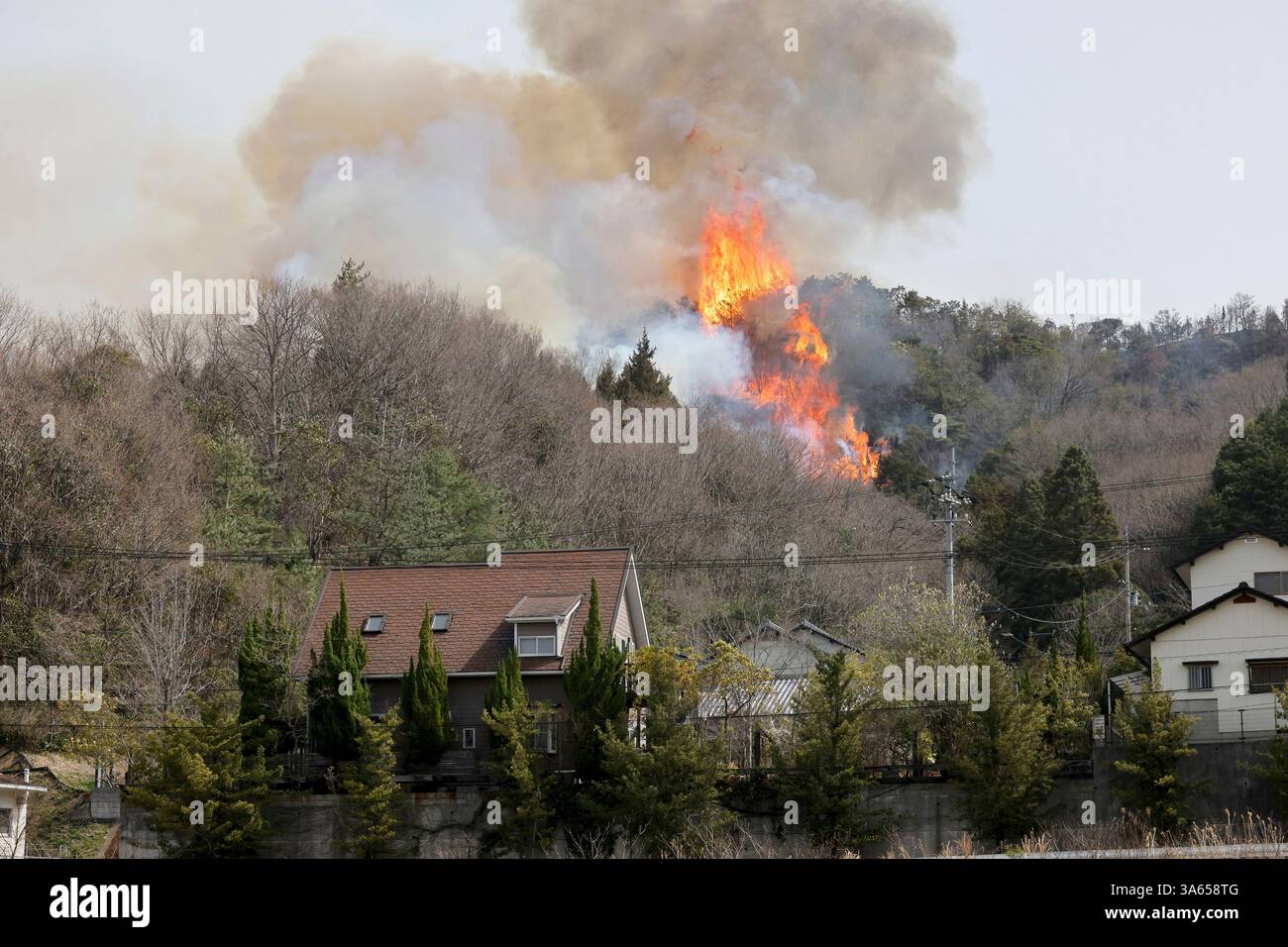 The photo shows a spreading forest fire in Imabari, Ehime Prefecture ...