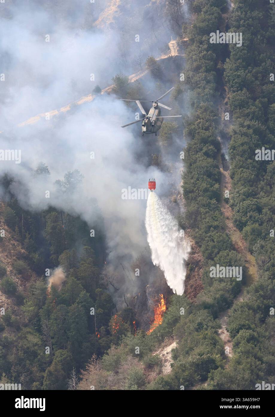 An aerial photo shows a spreading forest fire in Imabari, Ehime ...