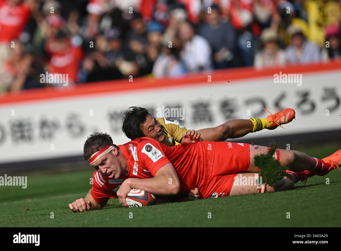 Steelers' Brodie Retallick during the 2024-25 Japan Rugby League One ...