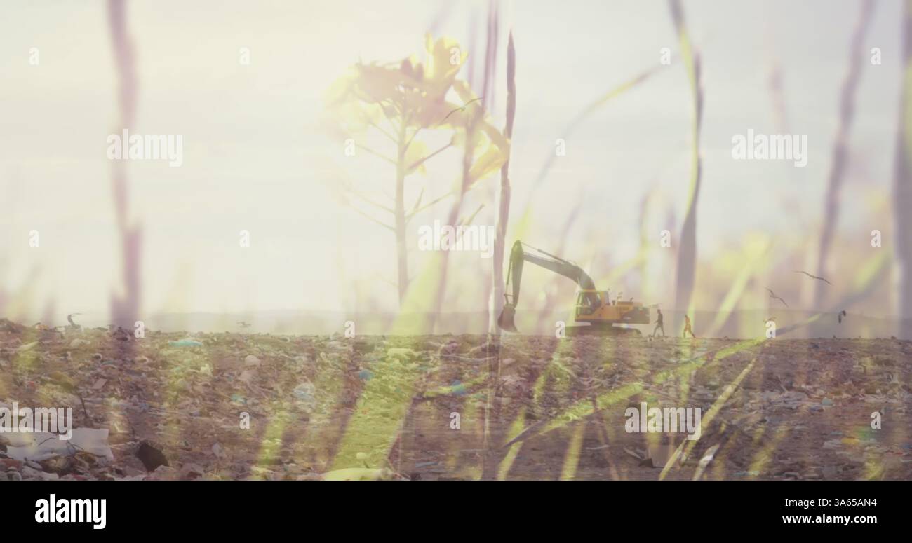 Summer grass over digger in rubbish disposal site Stock Photo - Alamy