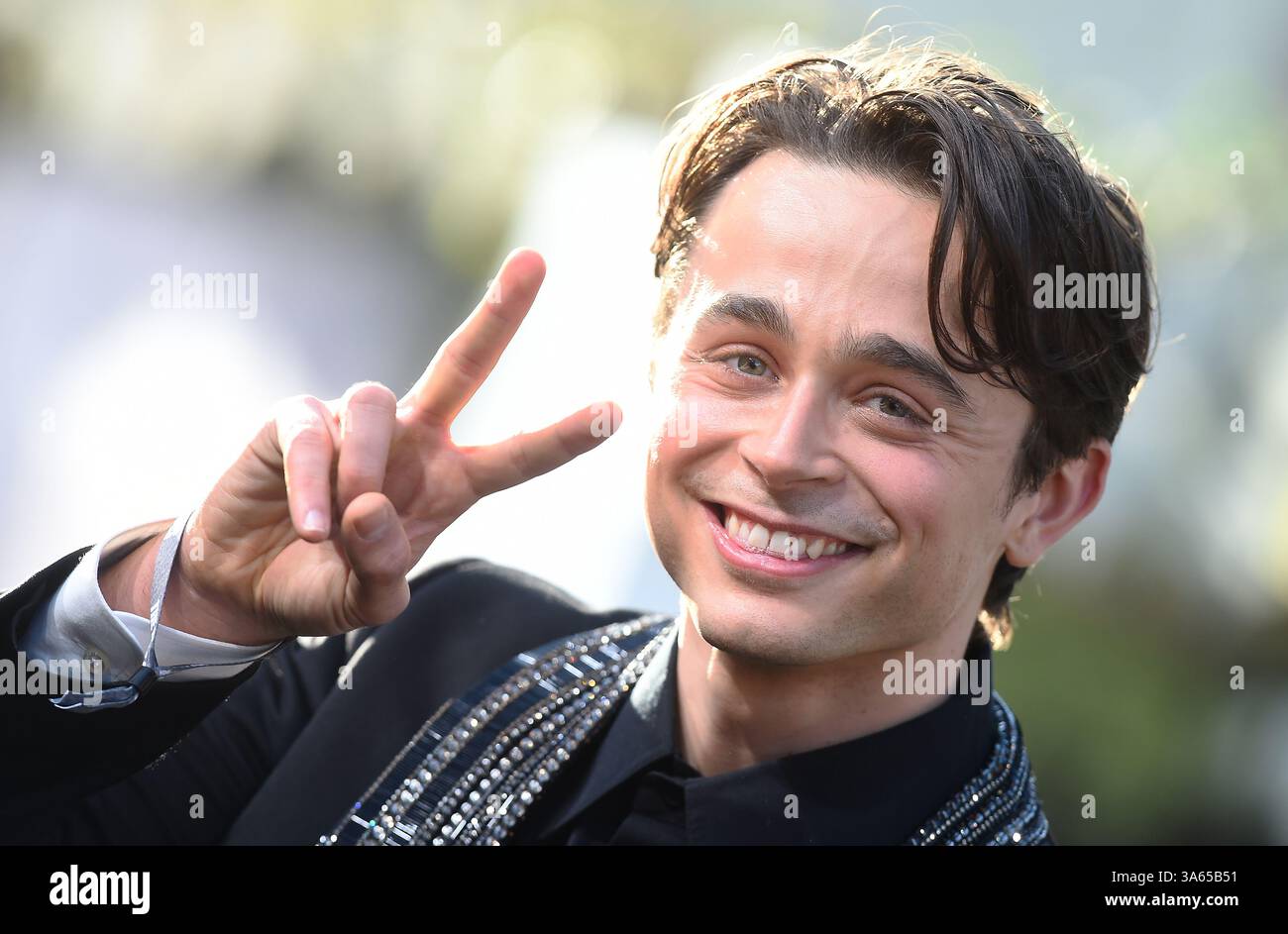 Hollywood, USA. 24th Mar, 2025. Ben Ahlers arriving at HBO's The Last ...