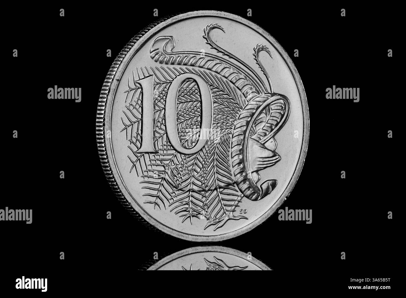 Australian lyrebird 10 cents hi-res stock photography and images - Alamy