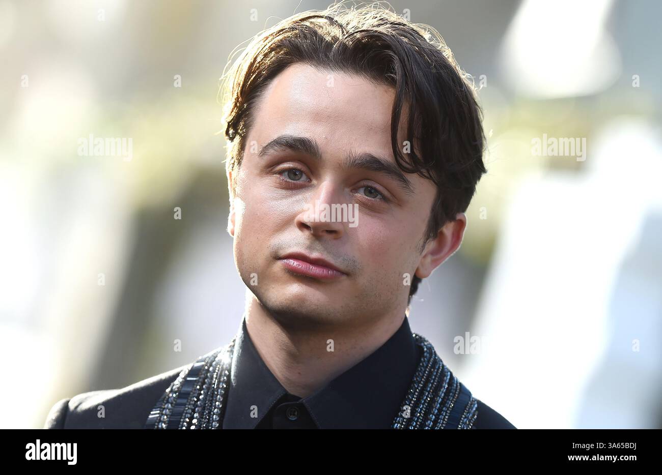 Hollywood, USA. 24th Mar, 2025. Ben Ahlers arriving at HBO's The Last ...