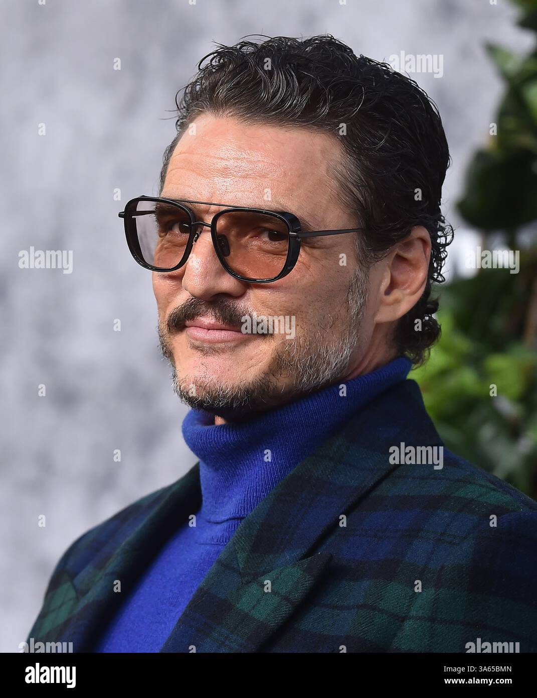 Hollywood, USA. 24th Mar, 2025. Pedro Pascal arriving at HBO's The Last ...
