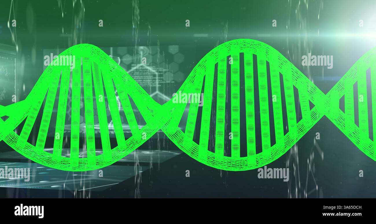 Dna structure spinning and network of connections against screens on medical data processing ...