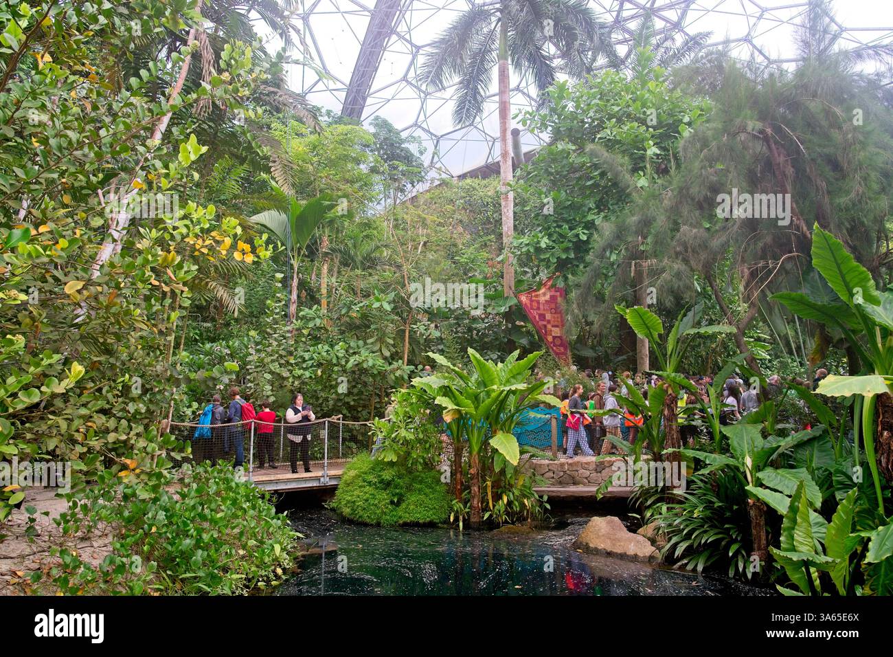 Bodelva England - 13 June 2024 - Inside the domes of the Eden Project ...