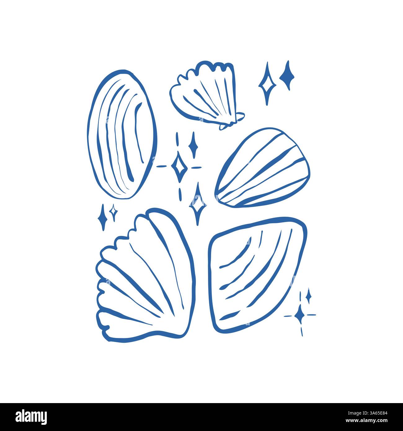 Hand drawn sea shells scallops and stars poster template in doodle ...