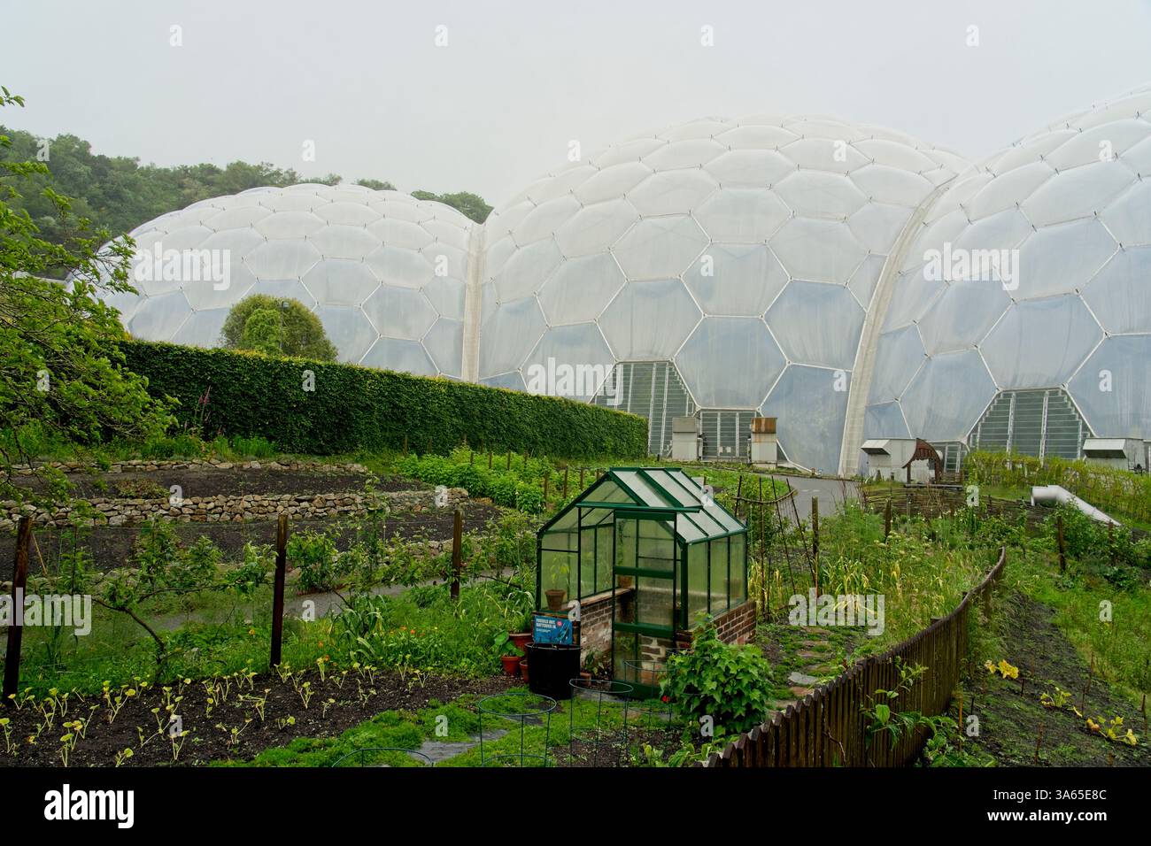 Bodelva England - 13 June 2024 - Domes of the Eden Project on a rainy ...