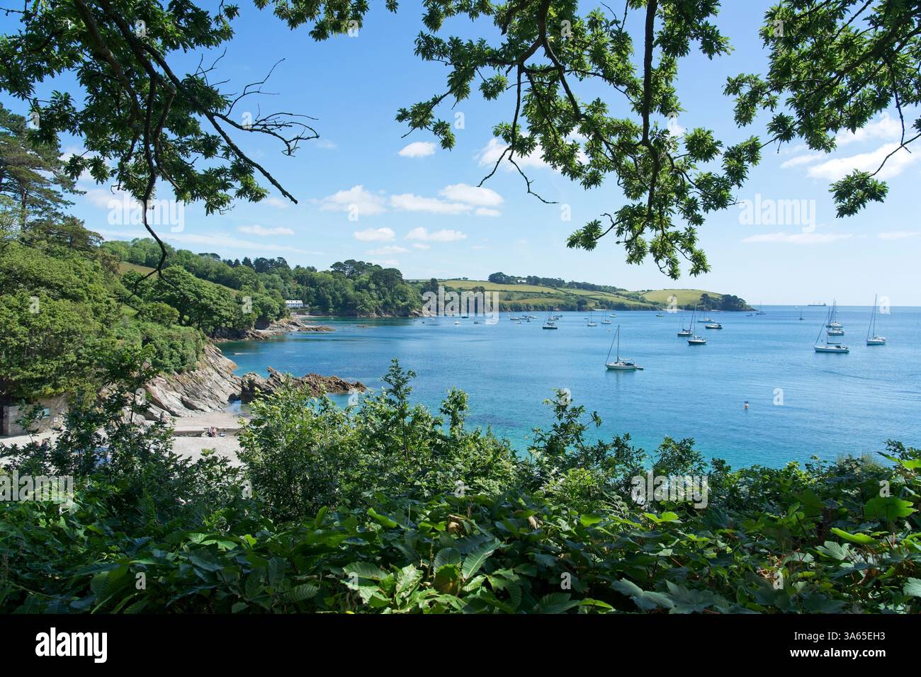 Sailing yachts in the Helford River at the Cornwall Coast in England as ...