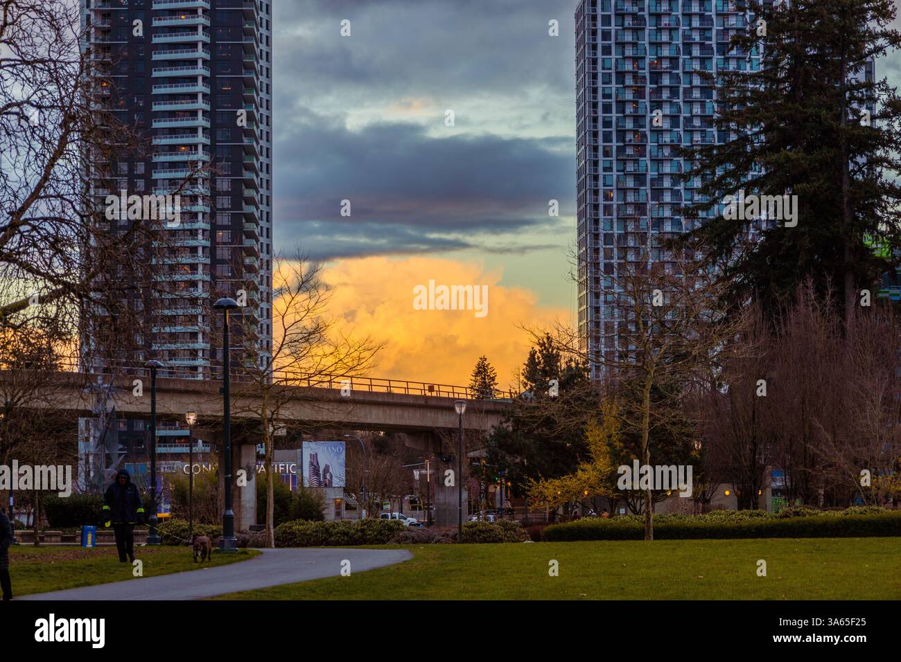 skytrain tracks with golden clouds in surrey park Stock Photo - Alamy