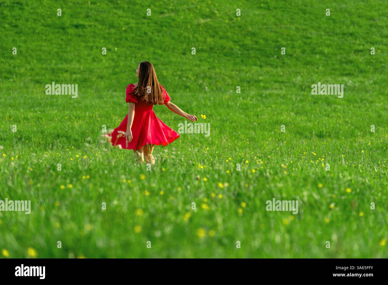 Rear view of a young woman with beautiful long hair running and ...