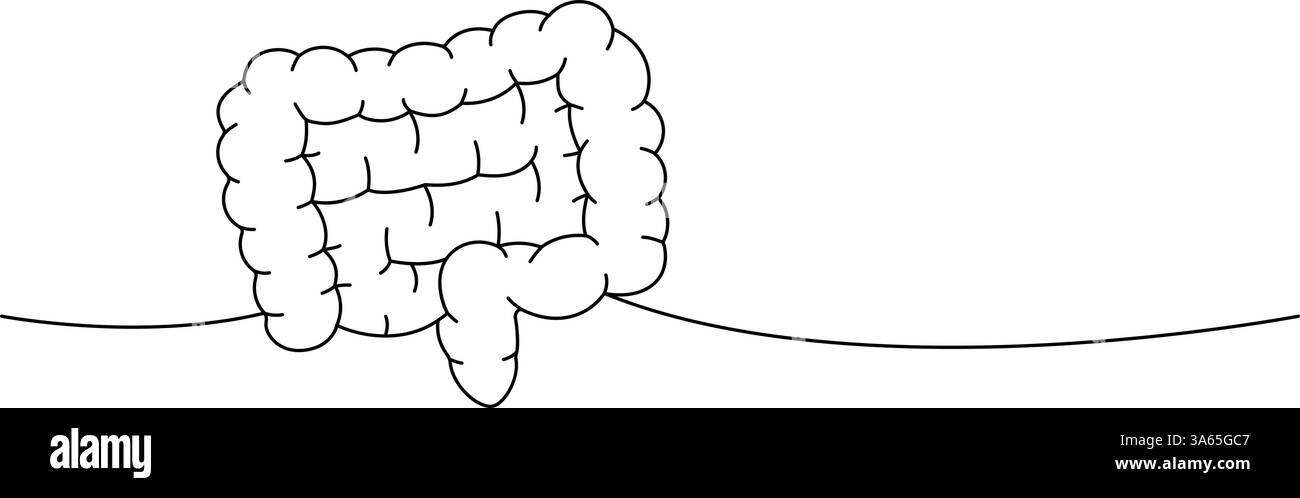 Intestines one line continuous drawing. Human internal organ continuous ...