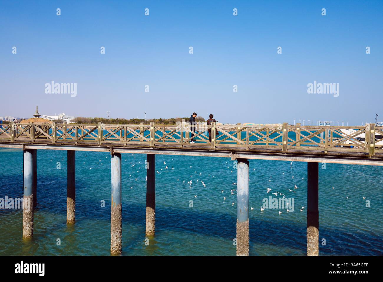Aerial photo shows the spring scenery at seaside in Rizhao City, east ...