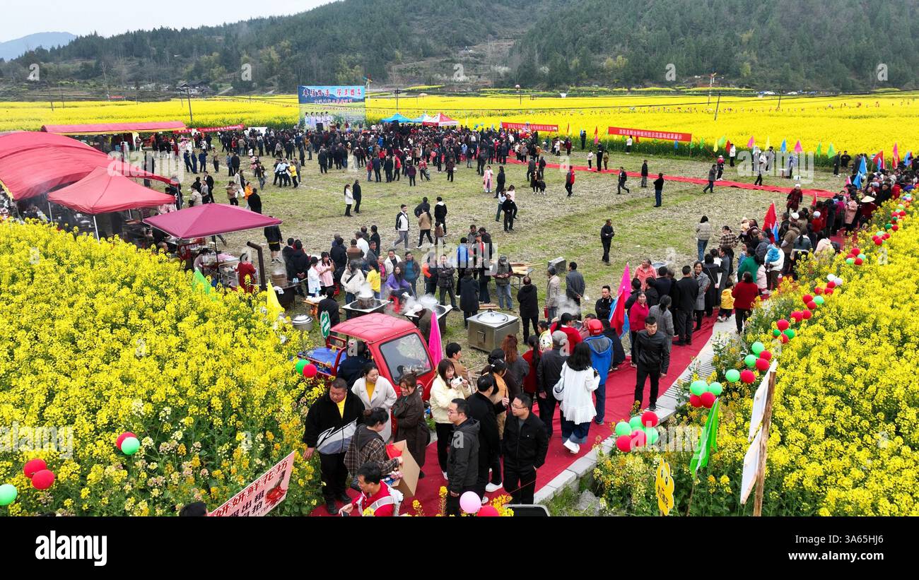 Aerial photo shows blooming cole flowers in Chongqing, China, 21 March ...