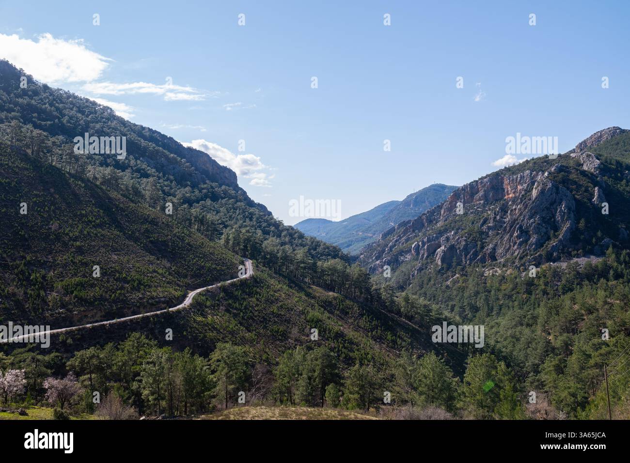 Beautiful panorama mountain forests hi-res stock photography and images ...