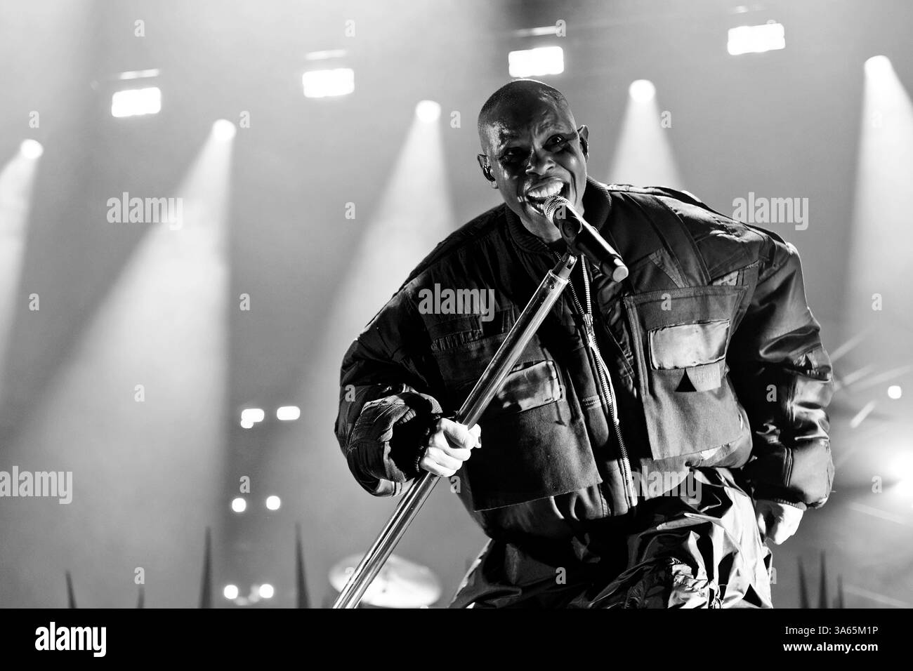 Sängerin Deborah Anne Dyer alias Skin Skunk Anansie bei einem Konzert ...