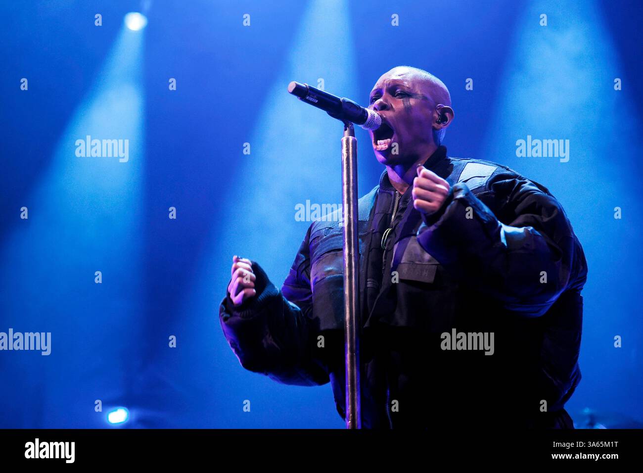 Sängerin Deborah Anne Dyer alias Skin Skunk Anansie bei einem Konzert ...