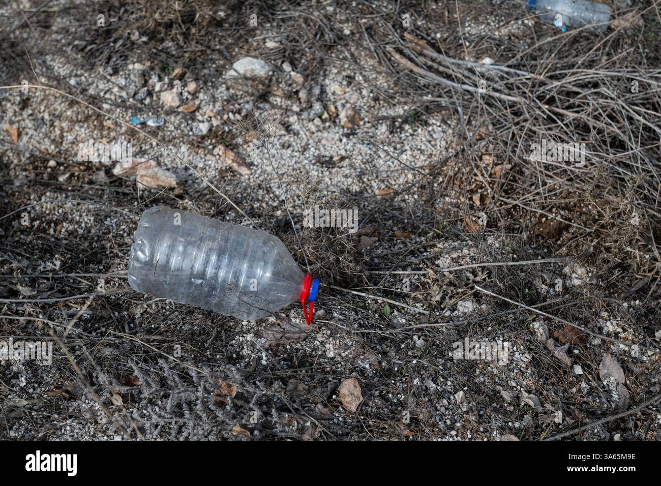 Plastic water bottle thrown on the side of the road. Environmental ...