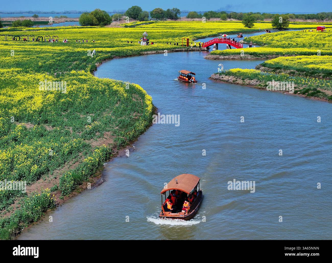Aerial photo shows the cole flowers blooming on the lake in Gaoyou City ...