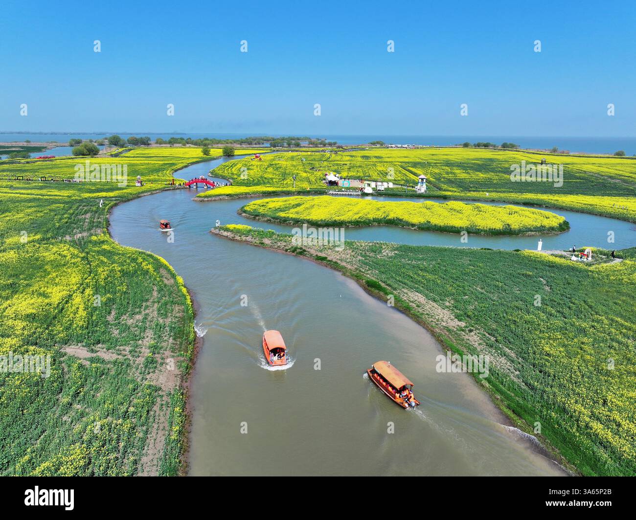 Aerial photo shows the cole flowers blooming on the lake in Gaoyou City ...