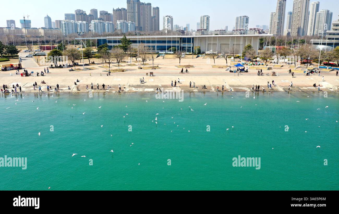 Aerial photo shows the Rizhao world cup base in Rizhao City, east China ...