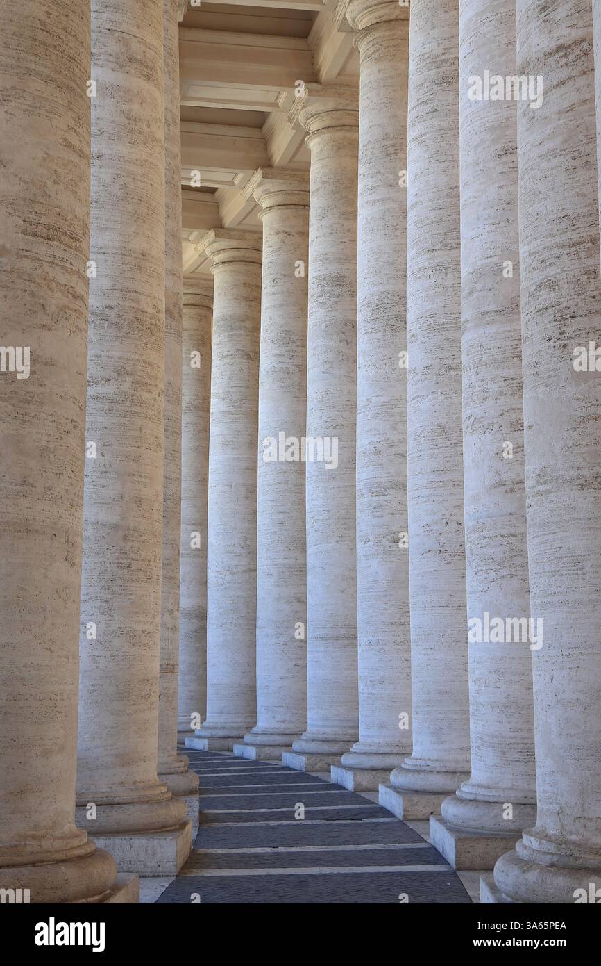 White columns of the St.Peter's Basilica colonnade cetail in Rome ...