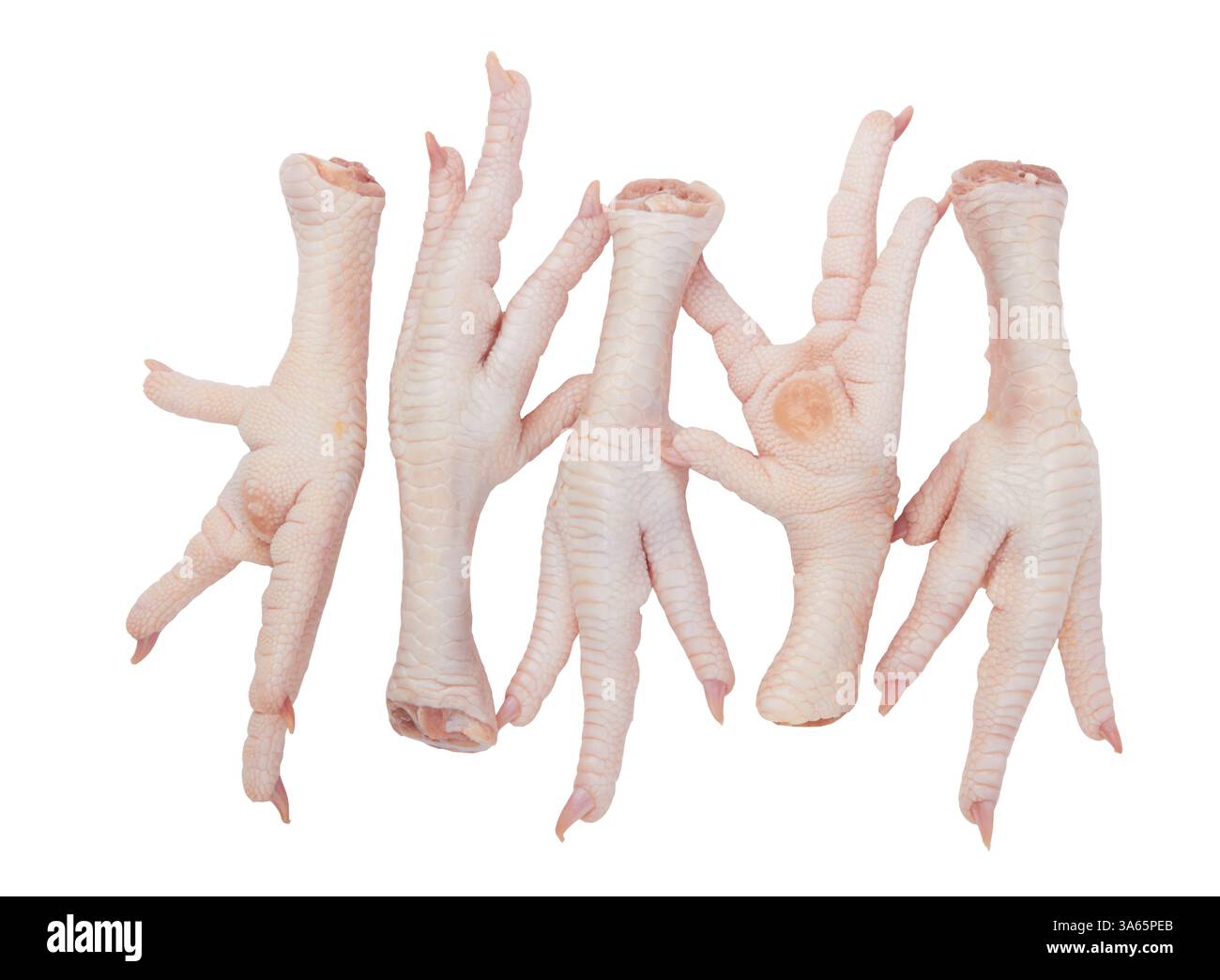 Raw chicken feet isolated on white background Stock Photo - Alamy