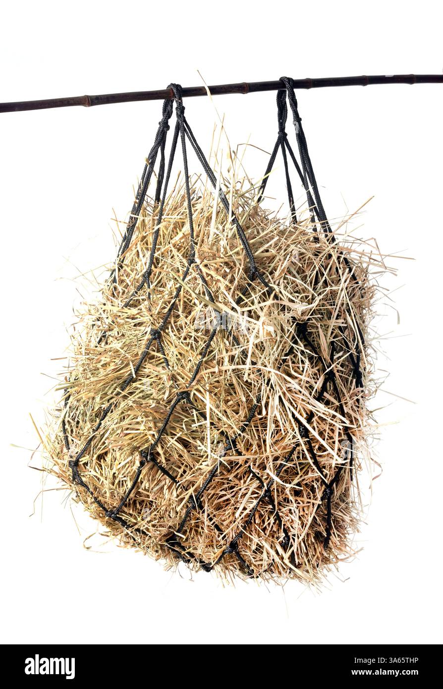 horse hay net in front of white background Stock Photo - Alamy