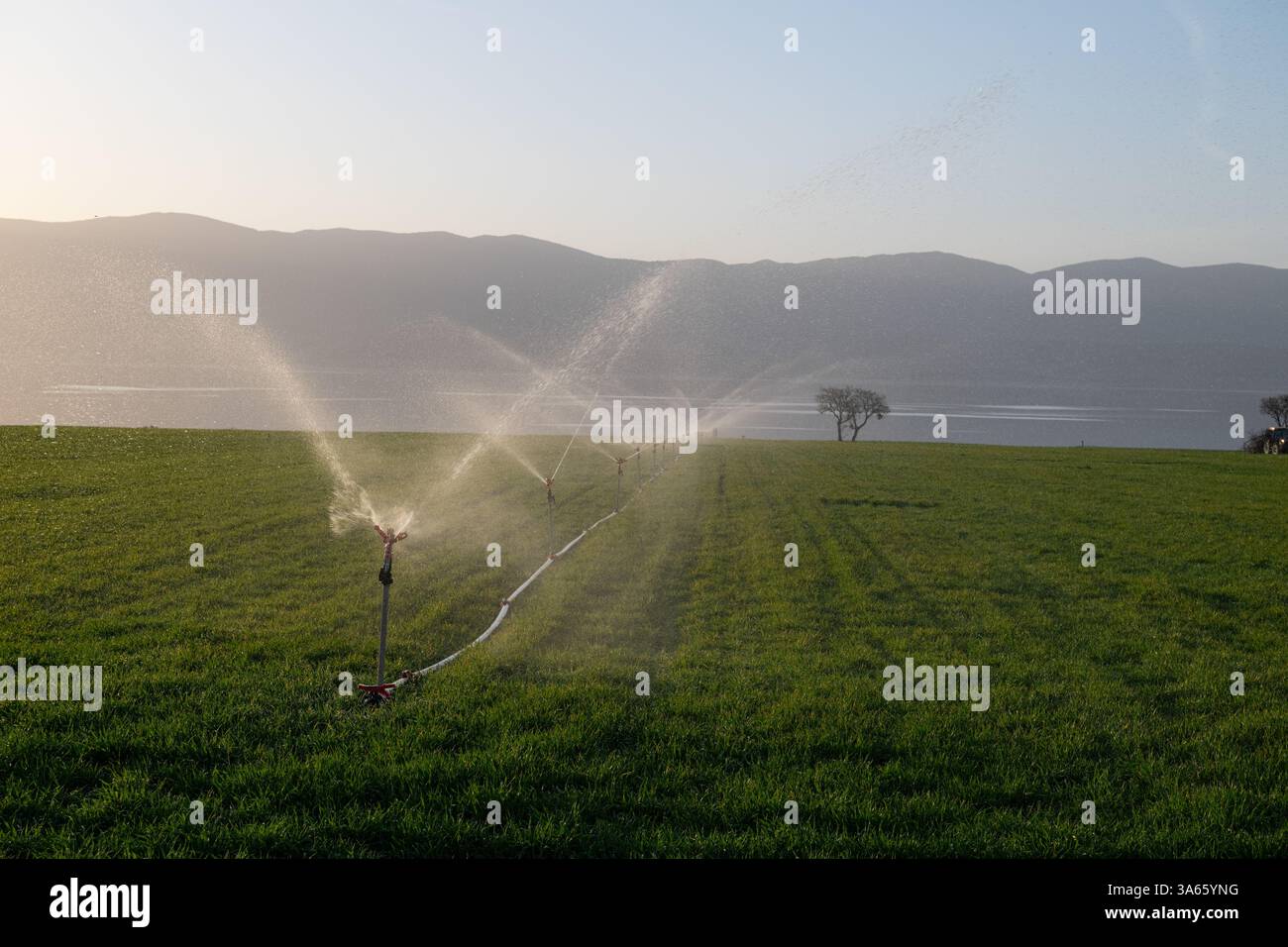 Crop watering sprinkler system hi-res stock photography and images - Alamy