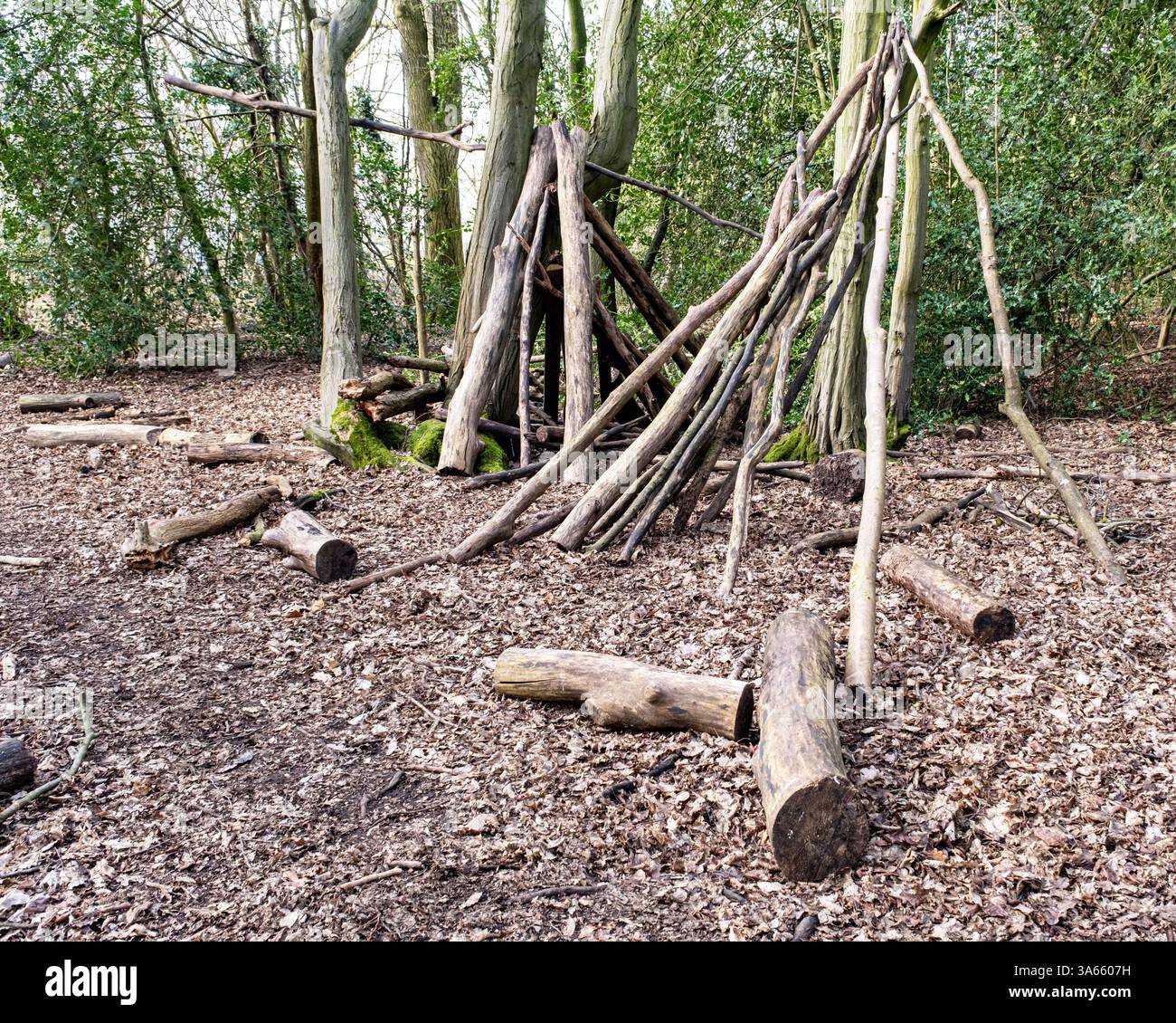 Den made from sticks and branches at the Greenway in Crewe Cheshire UK ...