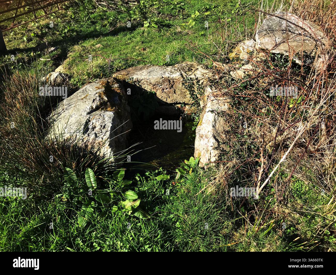 Holy well spring water uk hi-res stock photography and images - Alamy