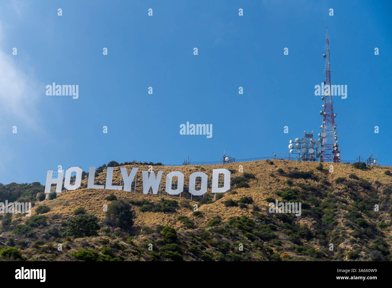 The iconic Hollywood sign is situated atop a hill, surrounded by lush ...