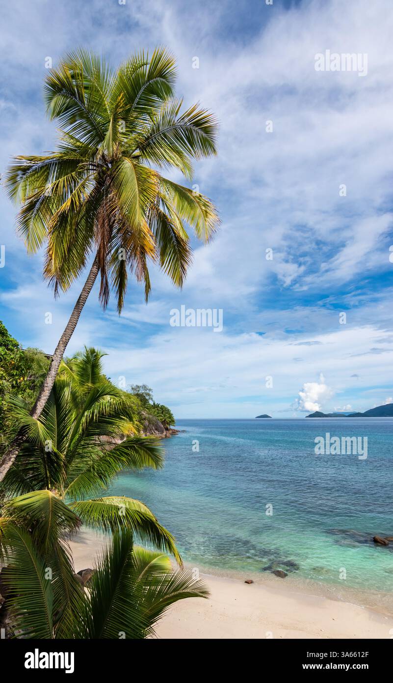 Palm trees tropical island beach hi-res stock photography and images ...