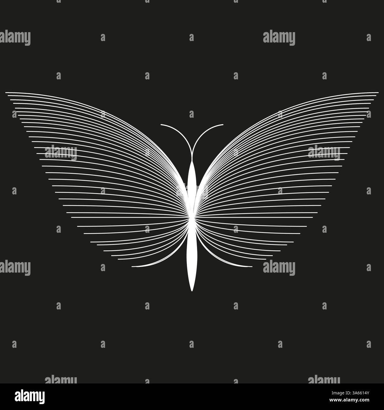 Abstract butterfly shape. Linear wing design. Symmetrical butterfly ...