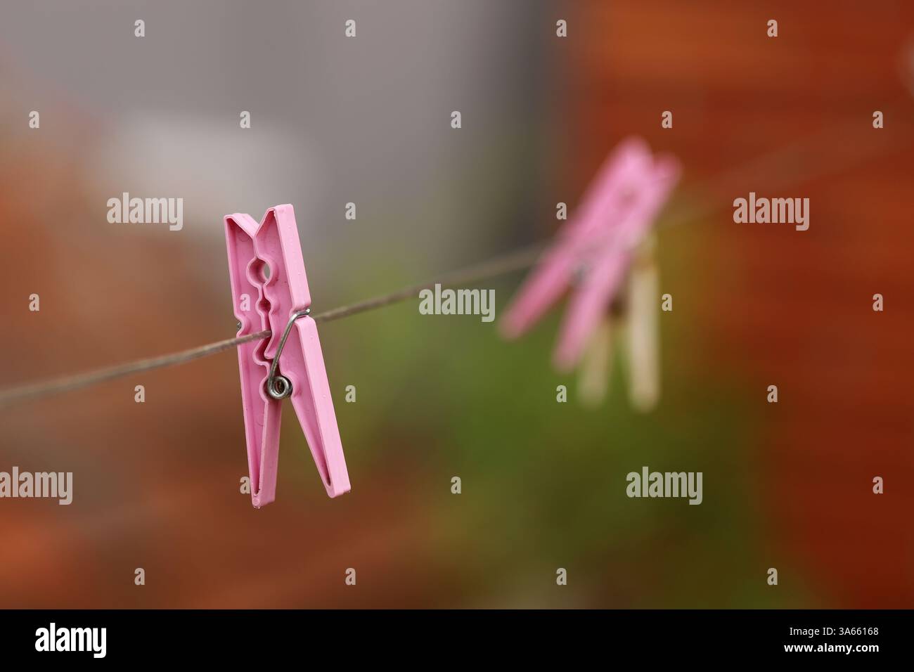 Clothes peg on a rope Stock Photo - Alamy