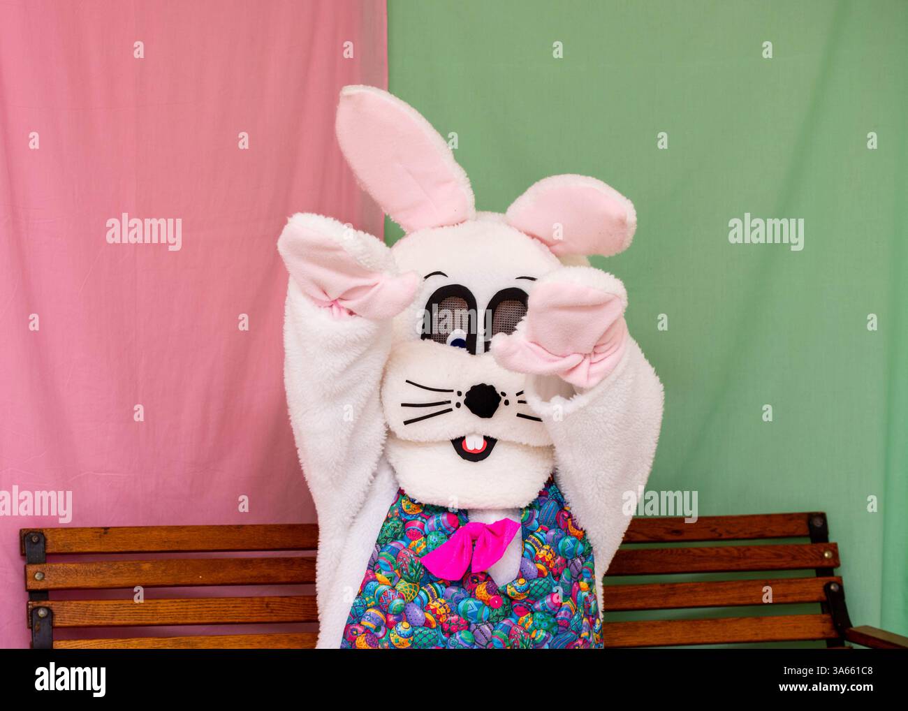 An unidentified person dressed up in a funny but slightly creepy Easter ...