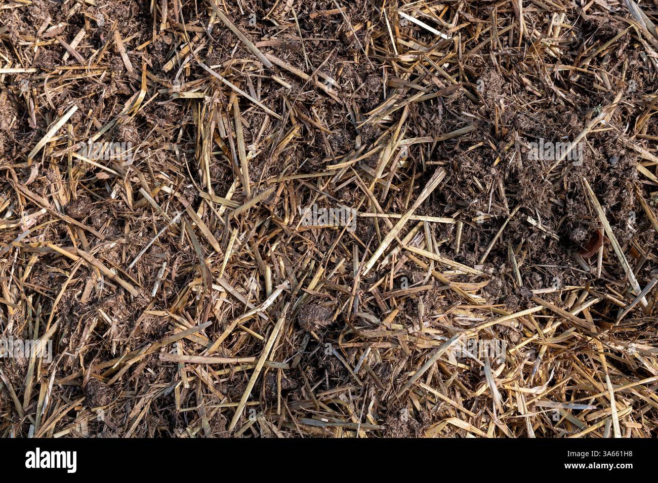 General stock - gardening. Horse manure for the garden. spring ...