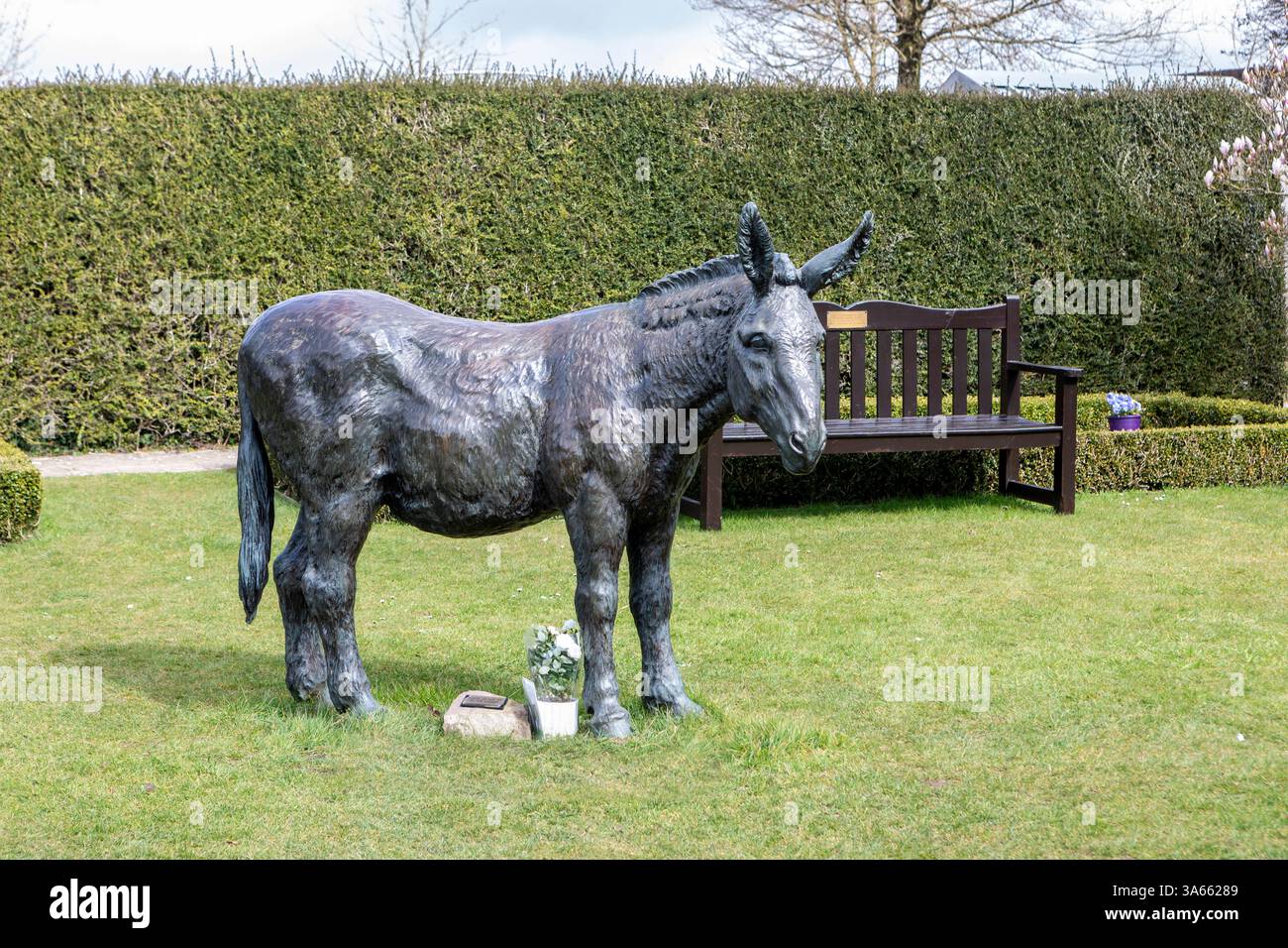 A sculpture of a donkey at The Donkey Sanctuary, Sidmouth, Devon, UK ...