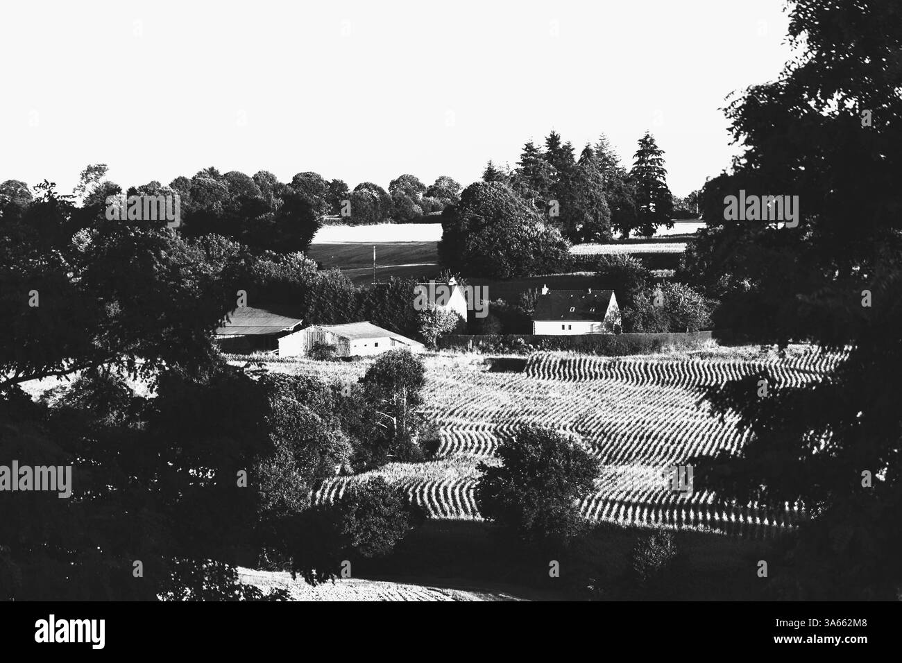 Country house lighting Black and White Stock Photos & Images - Alamy