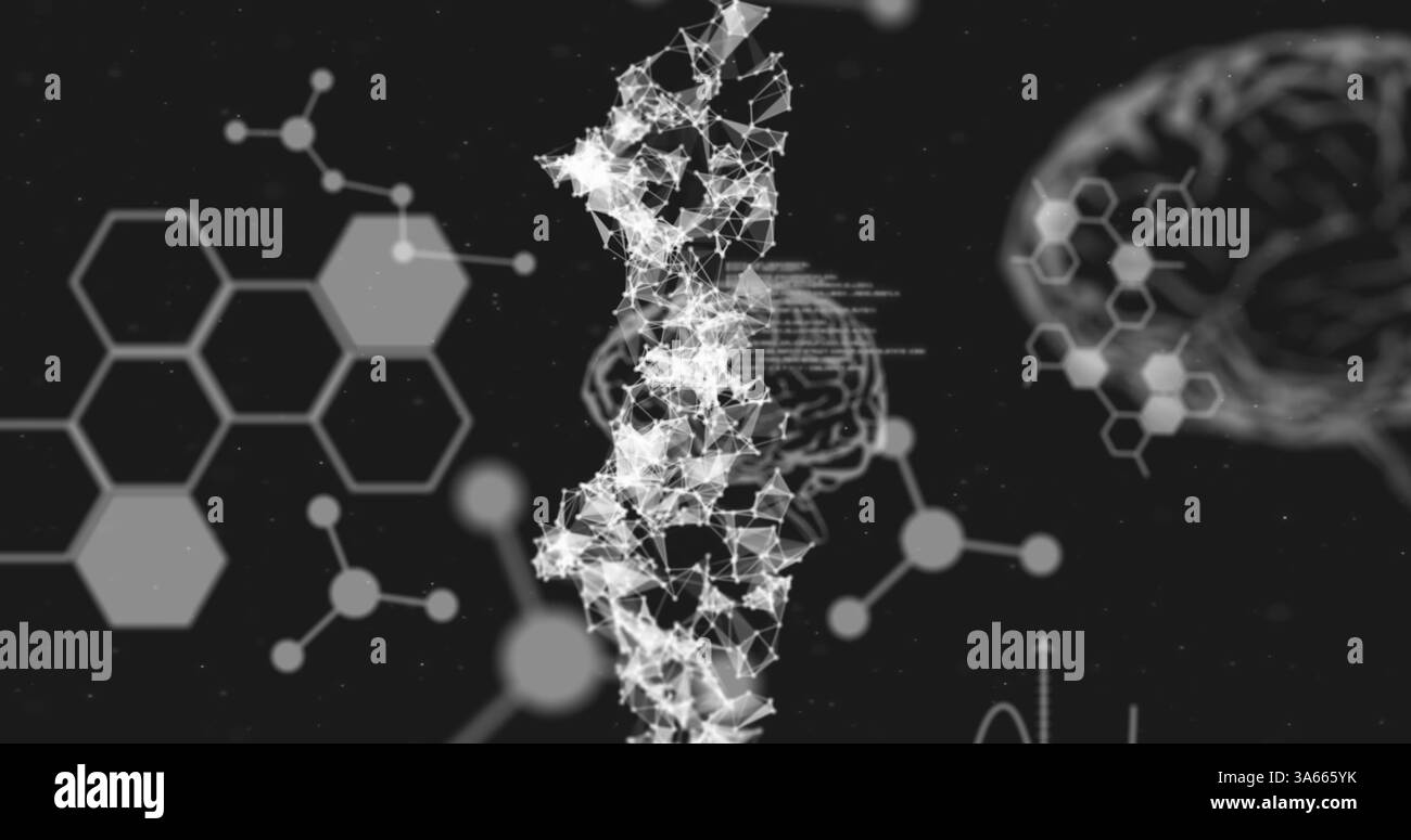 Image of dna strand, human brain, medical data processing and chemical ...