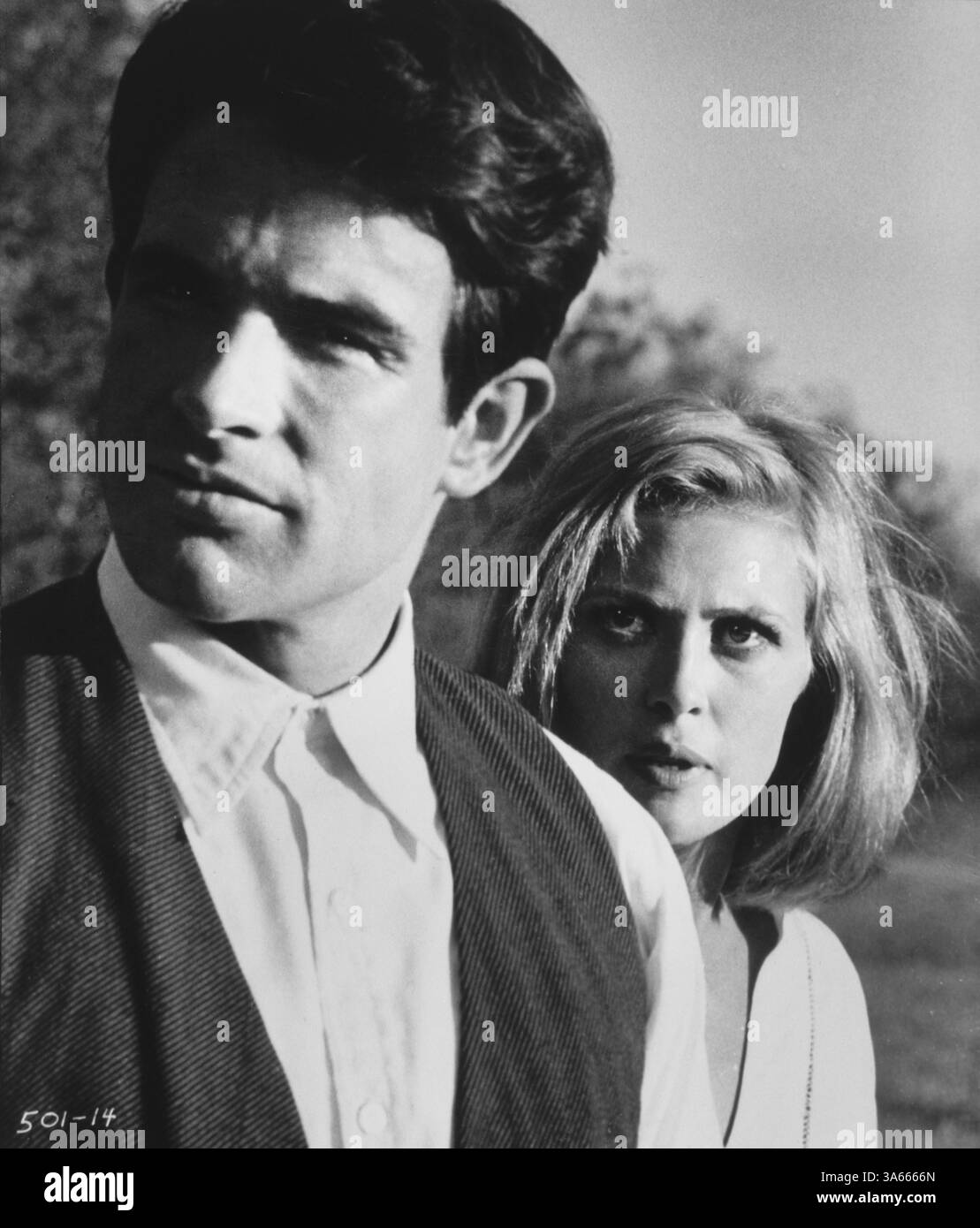 Small-time crook Clyde Barrow (WARREN BEATTY) tries to steal a car and ...