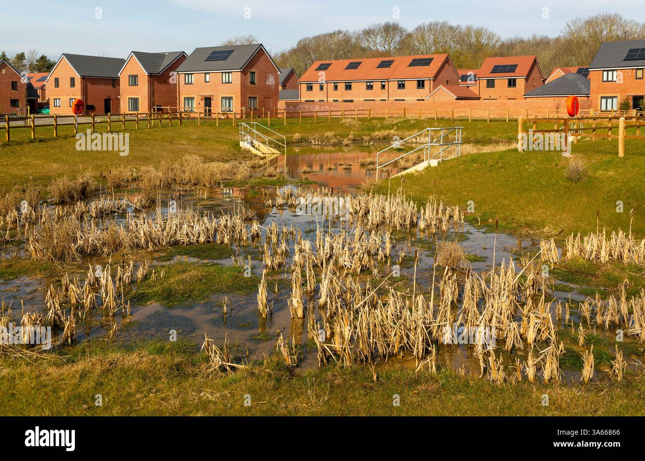 Attenuation drainage pond at Honours Meadow new housing development by ...